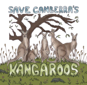 Join Canberra’s Community of Kangaroo Campaigners Today